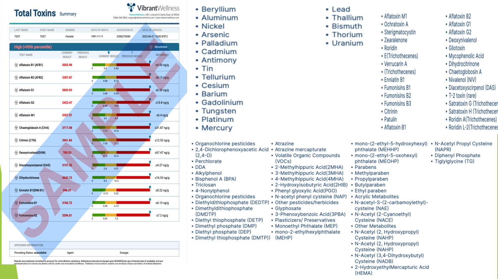 Opening the Detox Pathways: How the Body Eliminates Toxins Naturally ...